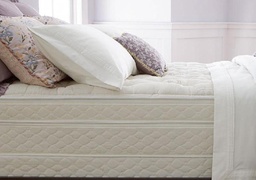 Sleep Number by Select Comfort - Mattress Reviews | GoodBed.com