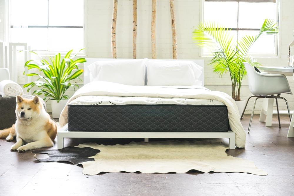 LuuF Memory Foam - Mattress Reviews | GoodBed